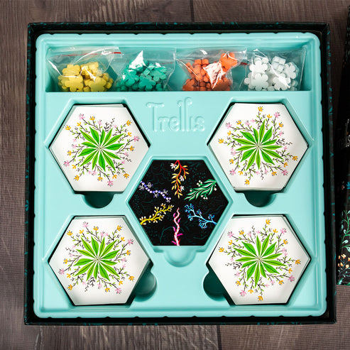 Trellis - The Game of Zen and Blossoms from Breaking Games